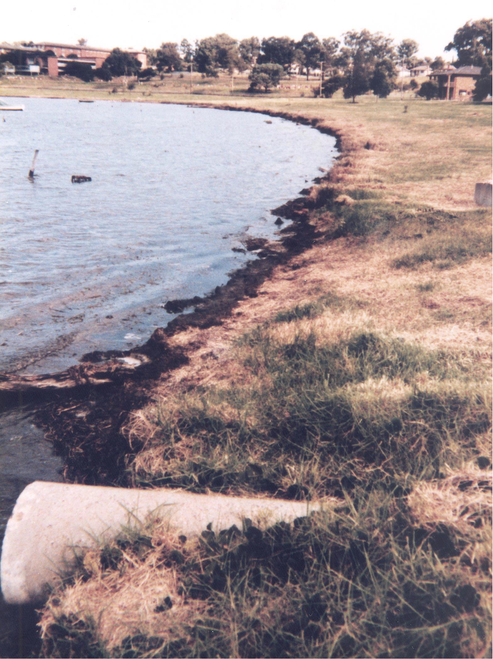Lake Mac Local History