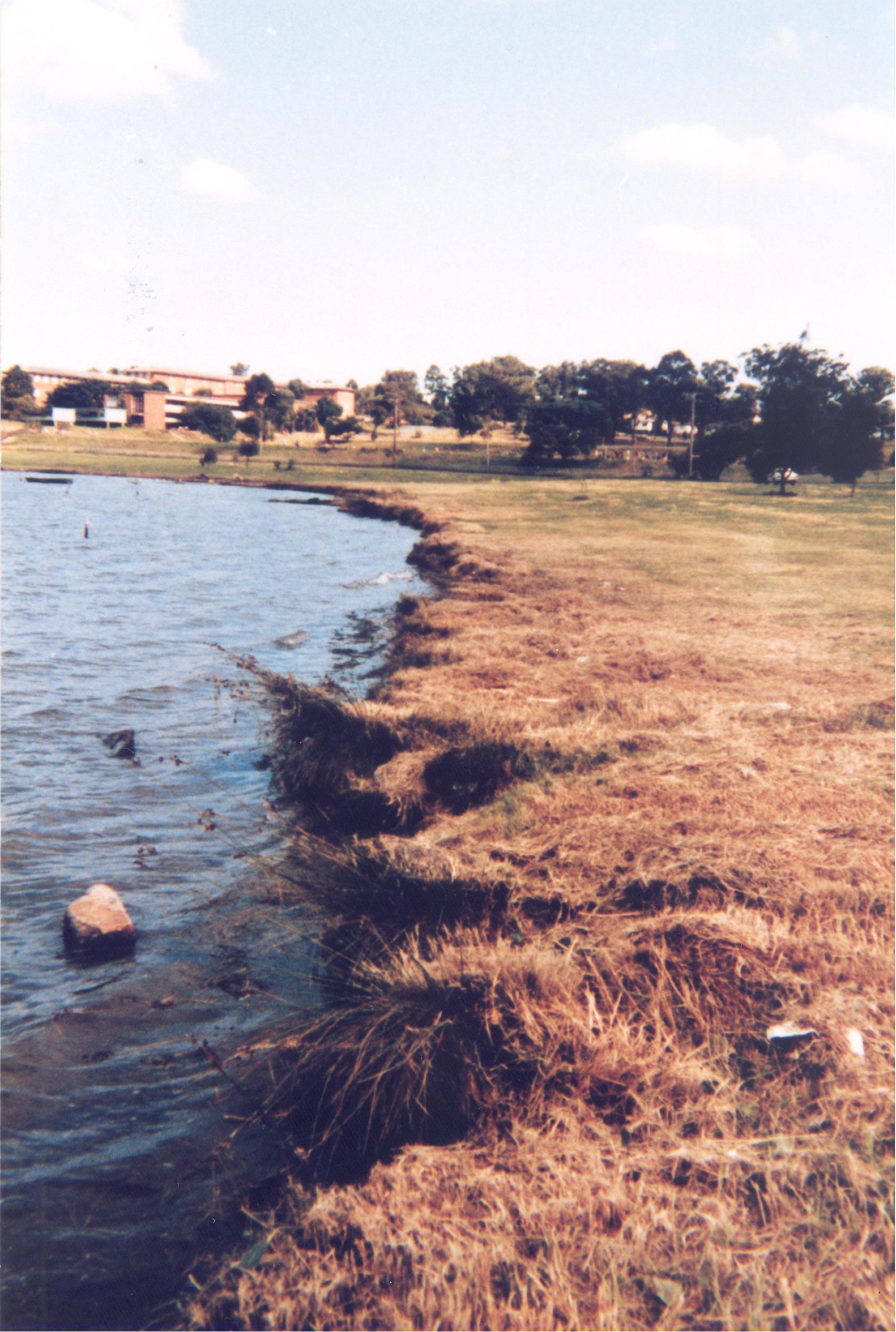 Lake Mac Local History